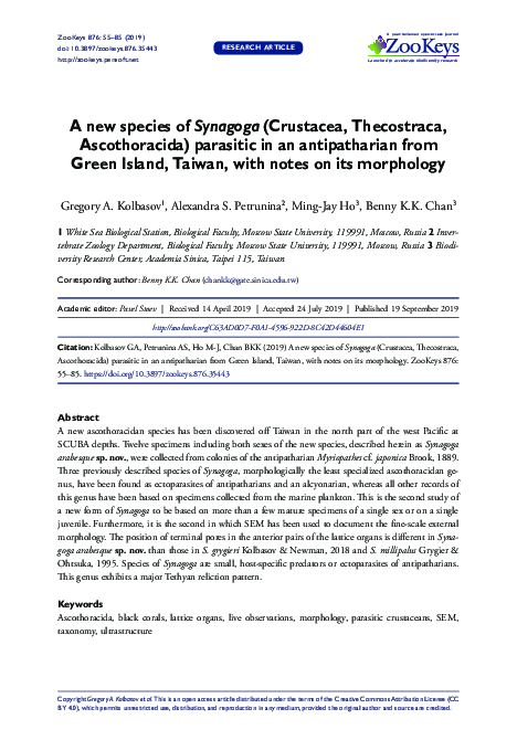 (PDF) A new species of Synagoga (Crustacea: Thecostraca: Ascothoracida ...