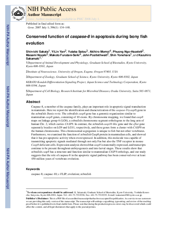 (PDF) Conserved function of caspase-8 in apoptosis during bony fish ...