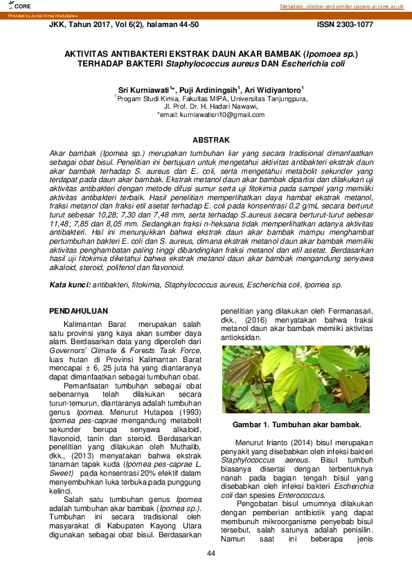(PDF) AKTIVITAS ANTIBAKTERI EKSTRAK DAUN AKAR BAMBAK (Ipomoea sp.) TERHADAP BAKTERI ...