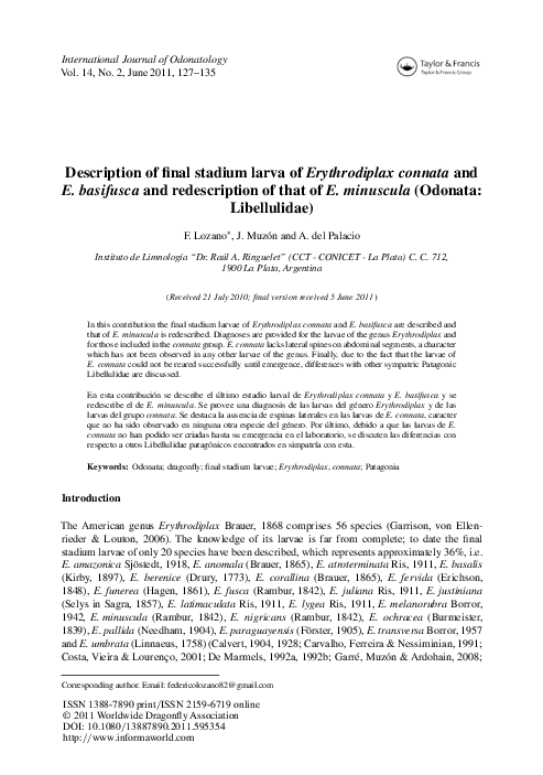 (PDF) Description of final stadium larva ofErythrodiplax connataandE ...