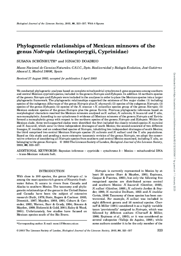 (PDF) Phylogenetic relationships of Mexican minnows of the genus ...