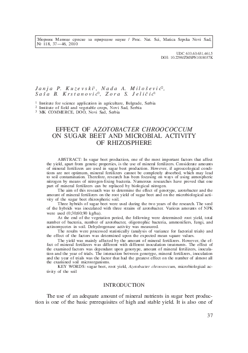 (PDF) Effect of Azotobacter chroococcum on sugar beet and microbial activity of rhizosphere