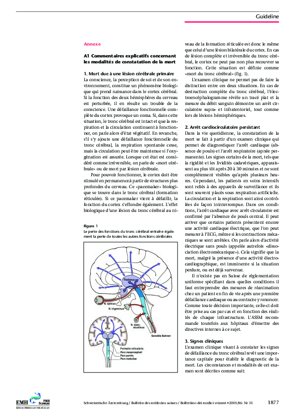 (PDF) Diagnostic de la mort dans le contexte de la transplantation d ...