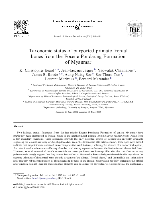 (PDF) Taxonomic status of purported primate frontal bones from the ...