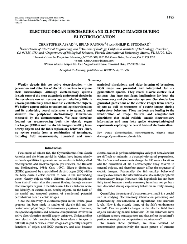 (PDF) Electric organ discharges and electric images during electrolocation