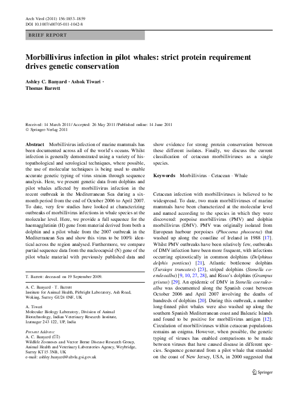 (PDF) Morbillivirus infection in pilot whales: strict protein ...