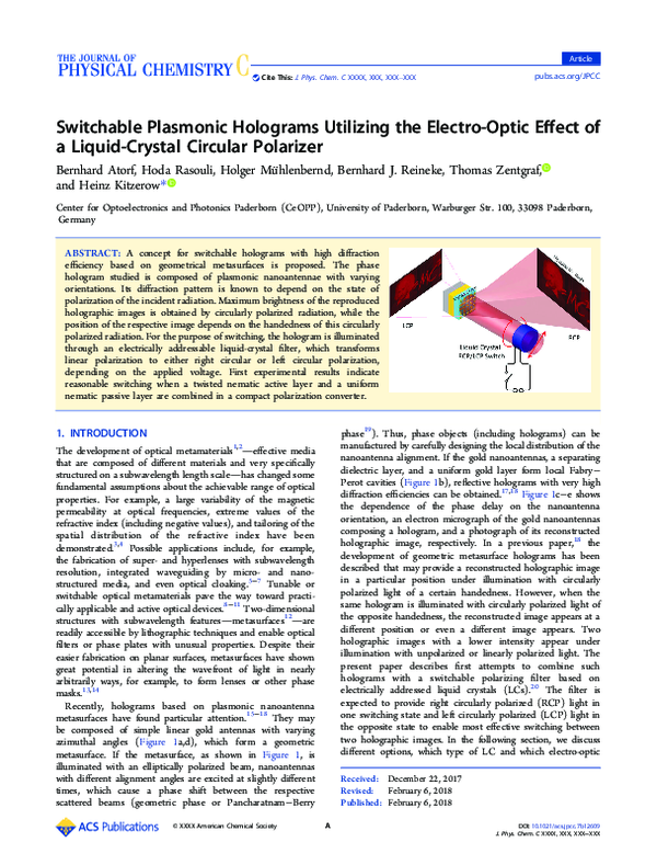 (PDF) Switchable Plasmonic Holograms Utilizing the Electro-Optic Effect ...