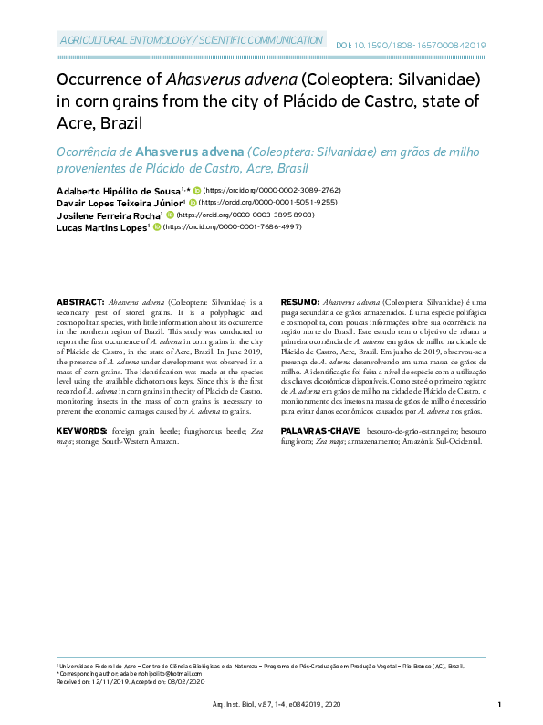 (PDF) Occurrence of Ahasverus advena (Coleoptera: Silvanidae) in corn ...