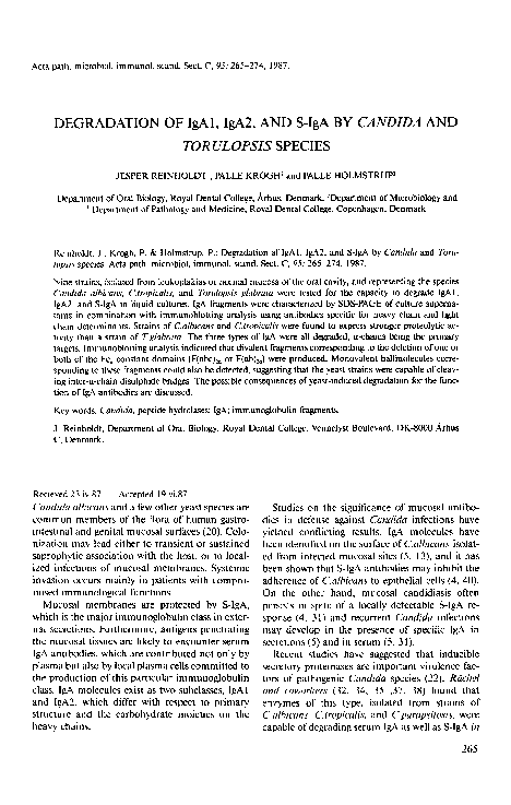 (PDF) DEGRADATION OF IgA1, IgA2, AND S-IgA BY CANDIDA AND TORULOPSIS ...