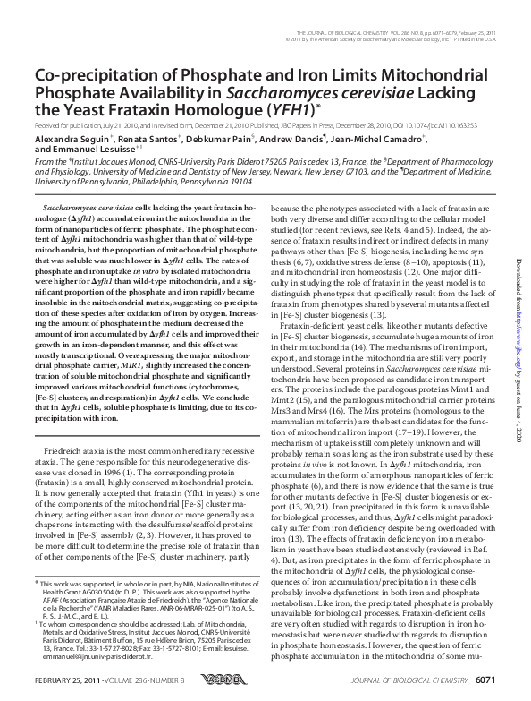 (PDF) Co-precipitation of Phosphate and Iron Limits Mitochondrial ...