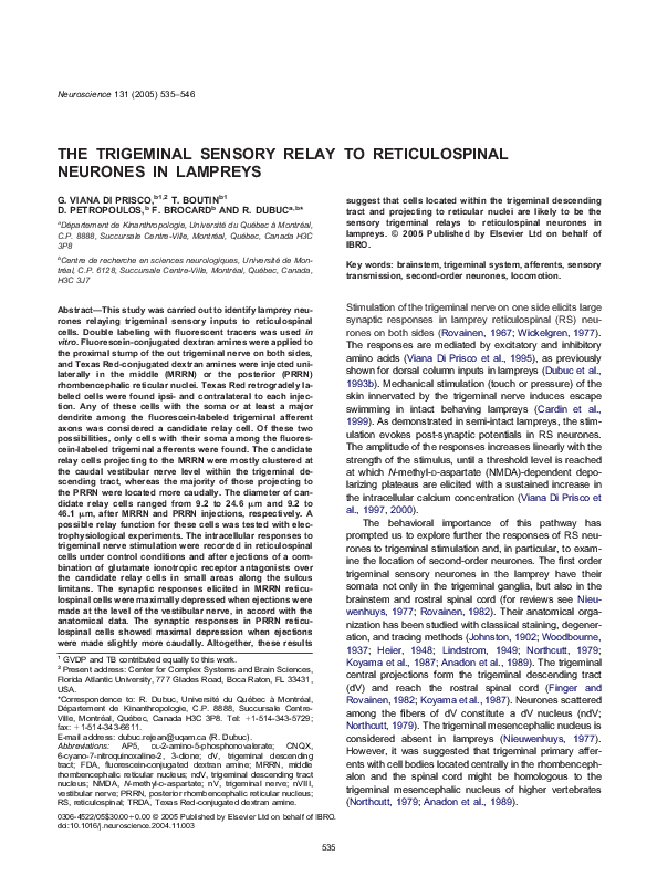 (PDF) The trigeminal sensory relay to reticulospinal neurones in ...