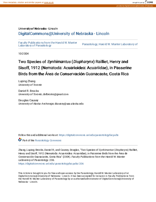 (PDF) Two Species of \u3ci\u3eSynhimantus\u3c/i\u3e (\u3ci ...