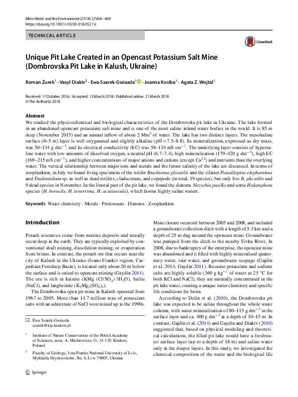 (PDF) Unique Pit Lake Created in an Opencast Potassium Salt Mine ...
