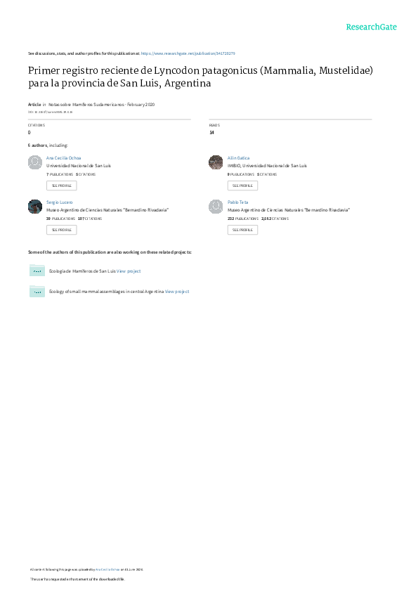 (PDF) Primer registro reciente de Lyncodon patagonicus (Mammalia ...