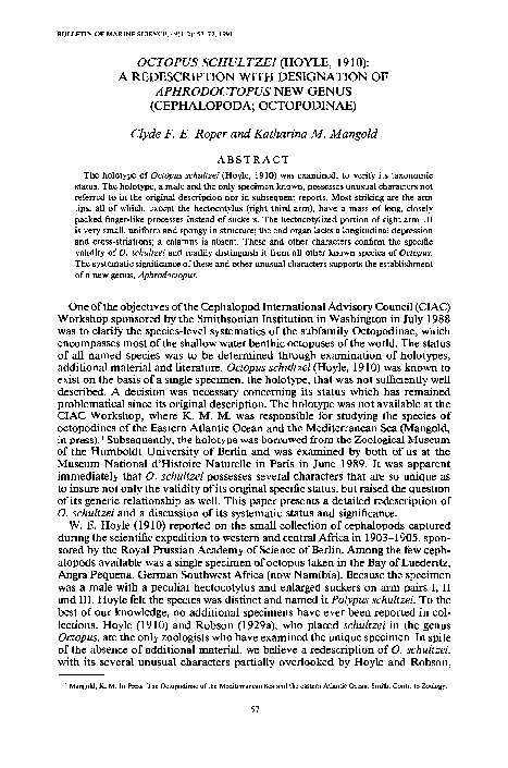 (PDF) Octopus schultzei (Hoyle, 1910): a redescription with designation ...