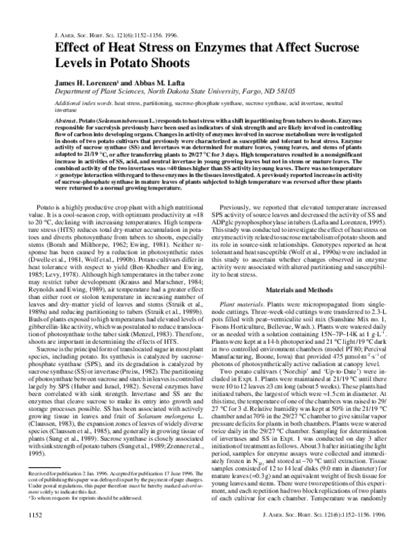 (PDF) Effect of Heat Stress on Enzymes that Affect Sucrose Levels in ...