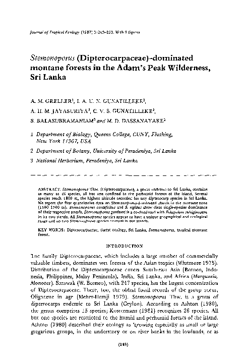 (PDF) Stemonoporus (Dipterocarpaceae)-dominated montane forests in the ...