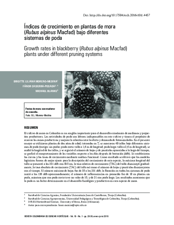 (PDF) Índices de crecimiento en plantas de mora ( Rubus alpinus Macfad ...