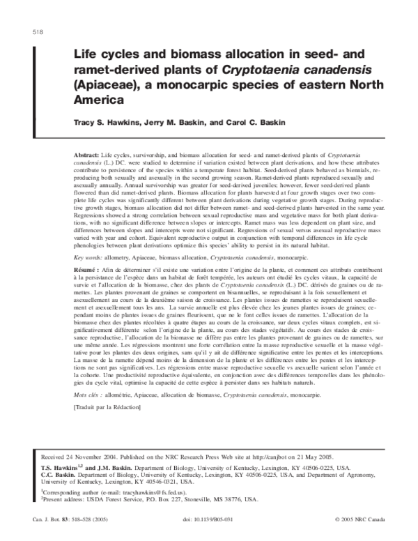 (PDF) Life cycles and biomass allocation in seed- and ramet-derived ...
