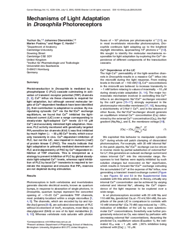 (PDF) Mechanisms of Light Adaptation in Drosophila Photoreceptors