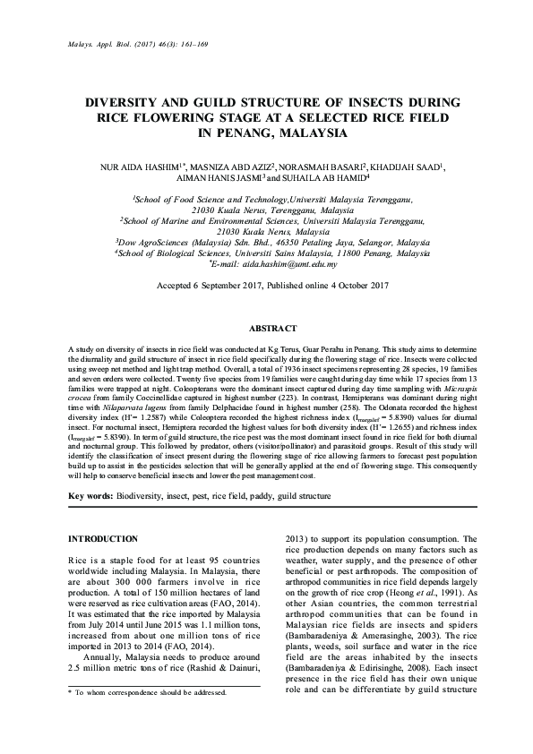 (PDF) Diversity and guild structure of insects duringrice flowering ...