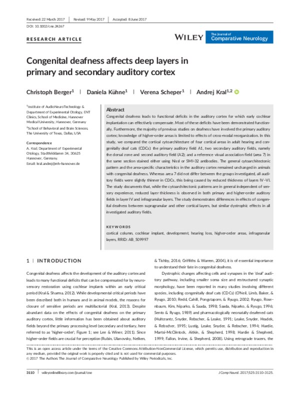 (PDF) Congenital deafness affects deep layers in primary and secondary auditory cortex