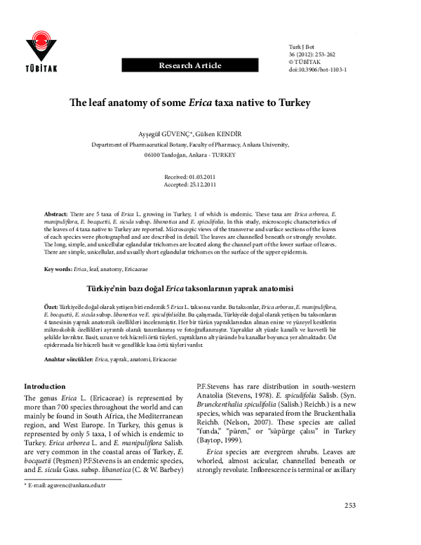 (PDF) The leaf anatomy of some Erica taxa native to Turkey