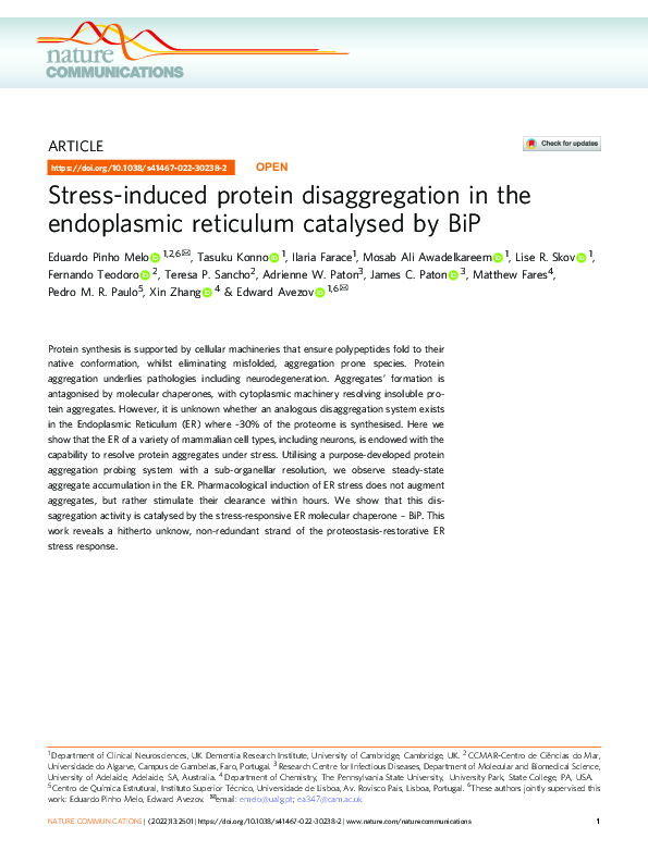 (PDF) Stress-induced protein disaggregation in the Endoplasmic Reticulum catalysed by BiP ...