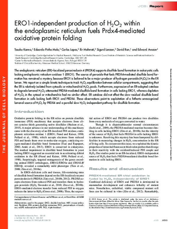 (PDF) ERO1-independent production of H2O2 within the endoplasmic ...
