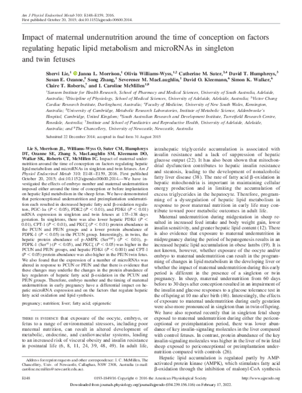 (PDF) Impact of maternal undernutrition around the time of conception ...