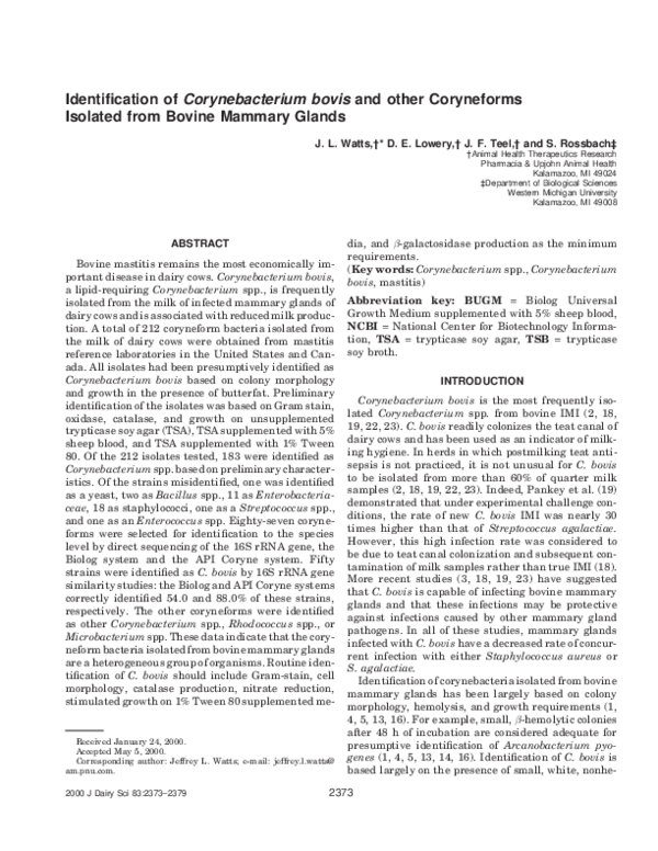 (PDF) Identification of Corynebacterium bovis and other Coryneforms ...