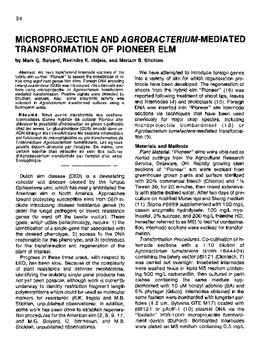 (PDF) Microprojectile and Agrobacterium-Mediated Transformation of ...
