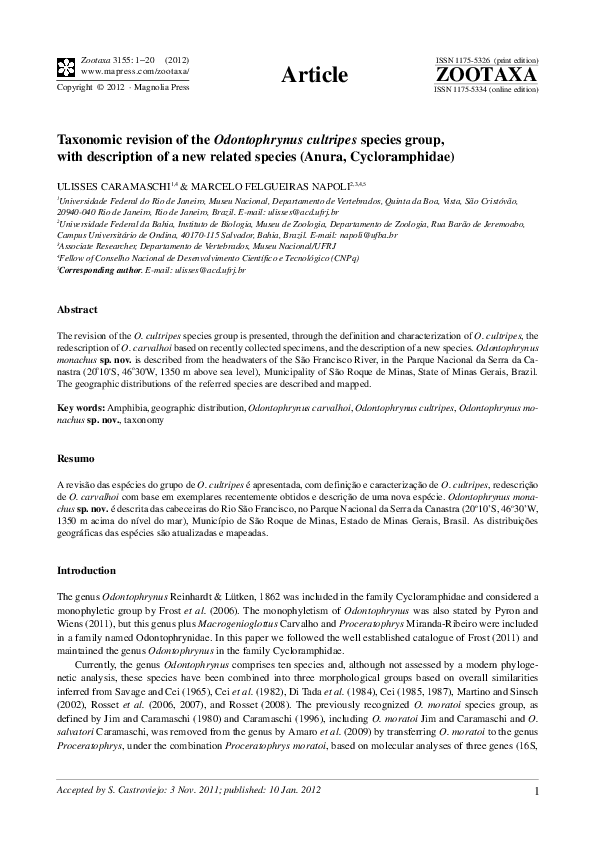 (PDF) Taxonomic revision of the Odontophrynus cultripes species group ...