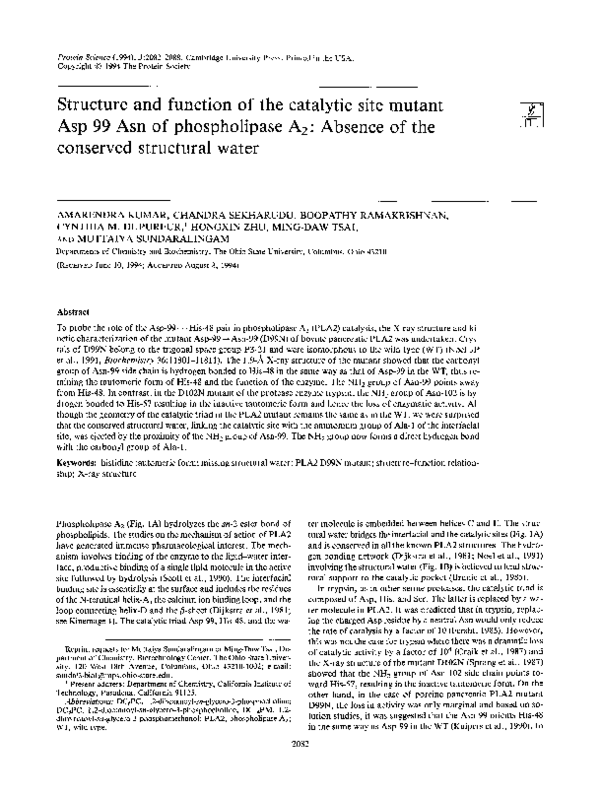 (PDF) Structure and function of the catalytic site mutant Asp 99 Asn of ...