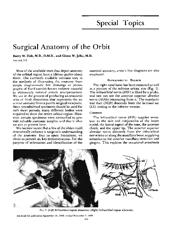 Pdf Surgical Anatomy Of The Orbit