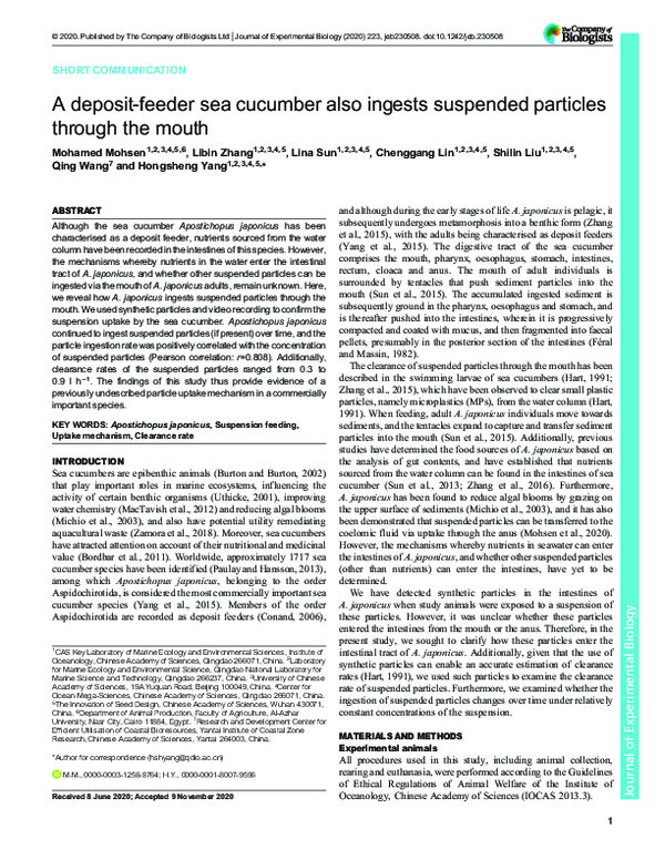 (PDF) A deposit-feeder sea cucumber also ingests suspended particles ...