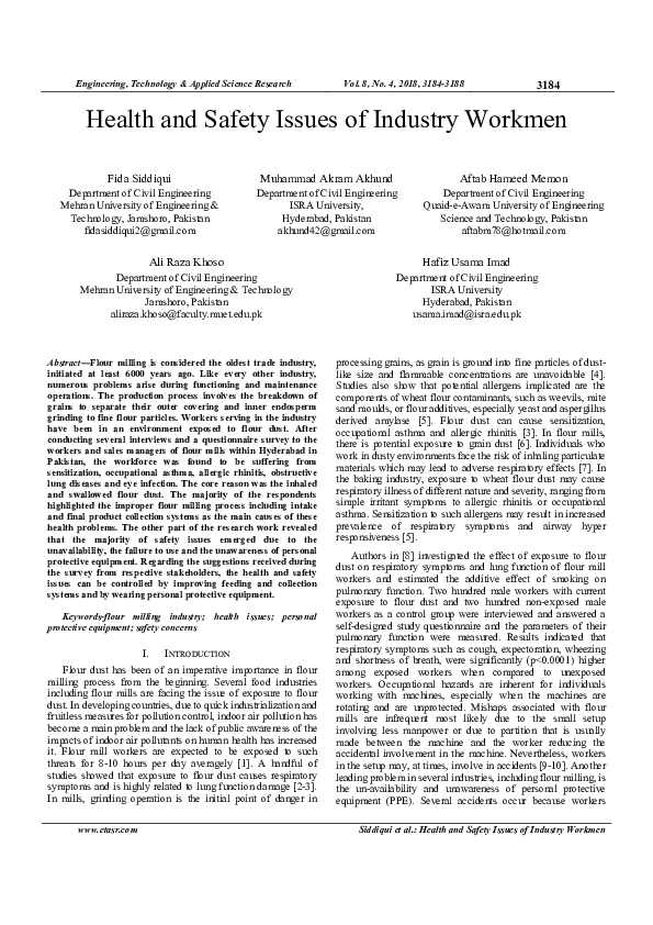 (PDF) Health and Safety Issues of Industry Workmen