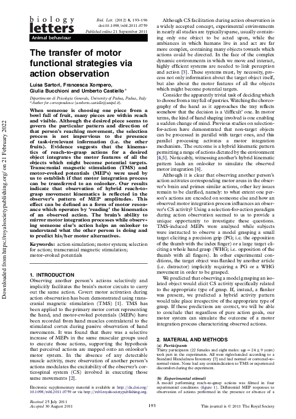 (PDF) The transfer of motor functional strategies via action observation