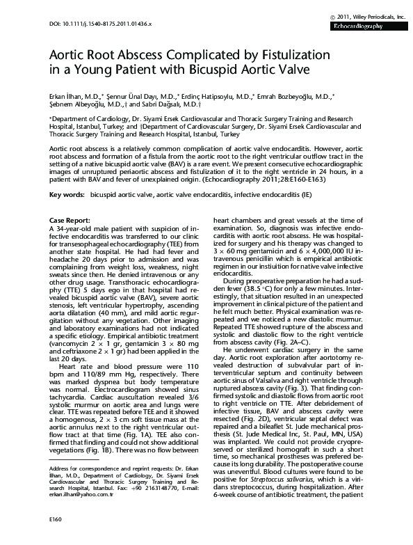 (PDF) Aortic Root Abscess Complicated by Fistulization in a Young ...