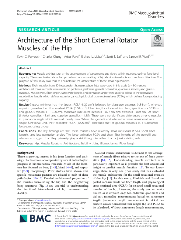 (PDF) Architecture of the Short External Rotator Muscles of the Hip
