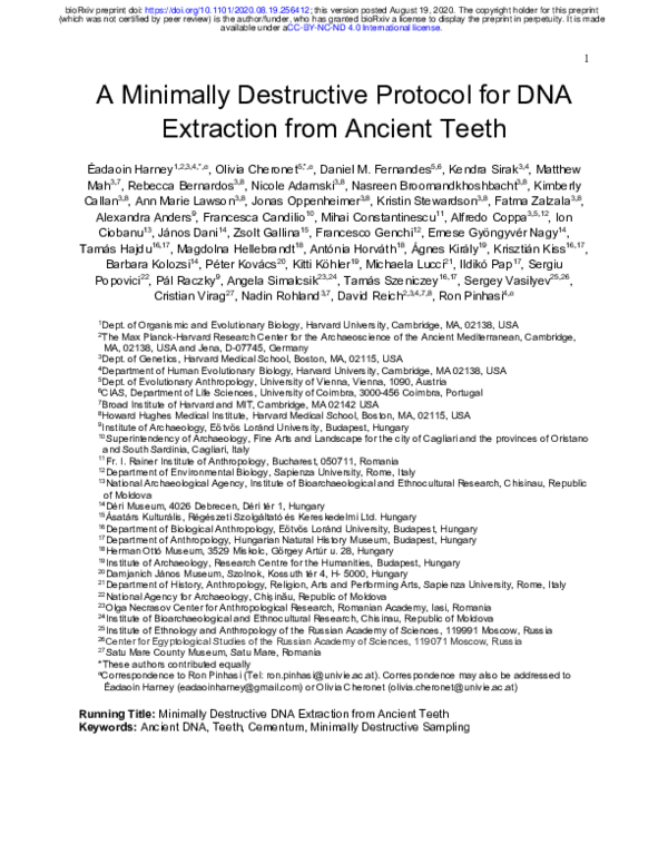 (PDF) A Minimally Destructive Protocol for DNA Extraction from Ancient ...