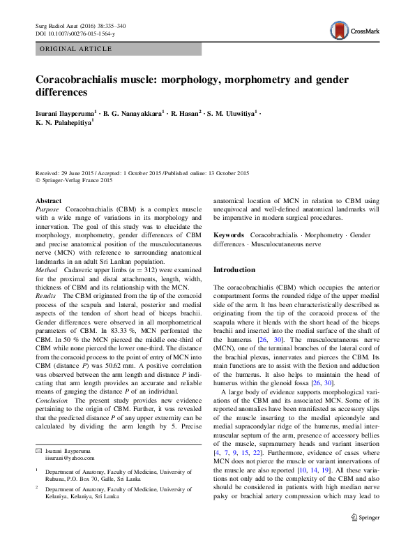 (PDF) Coracobrachialis muscle: morphology, morphometry and gender ...