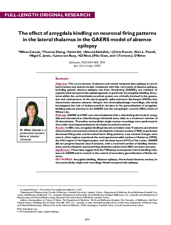 (PDF) The effect of amygdala kindling on neuronal firing patterns in ...