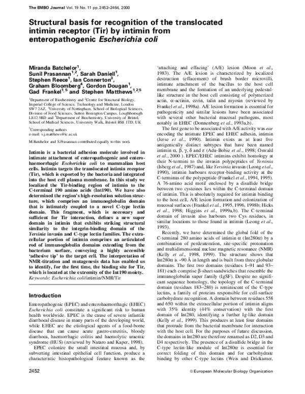 (PDF) Structural basis for recognition of the translocated intimin ...