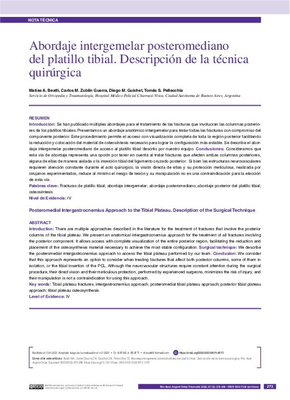 (PDF) Abordaje intergemelar posteromediano del platillo tibial ...