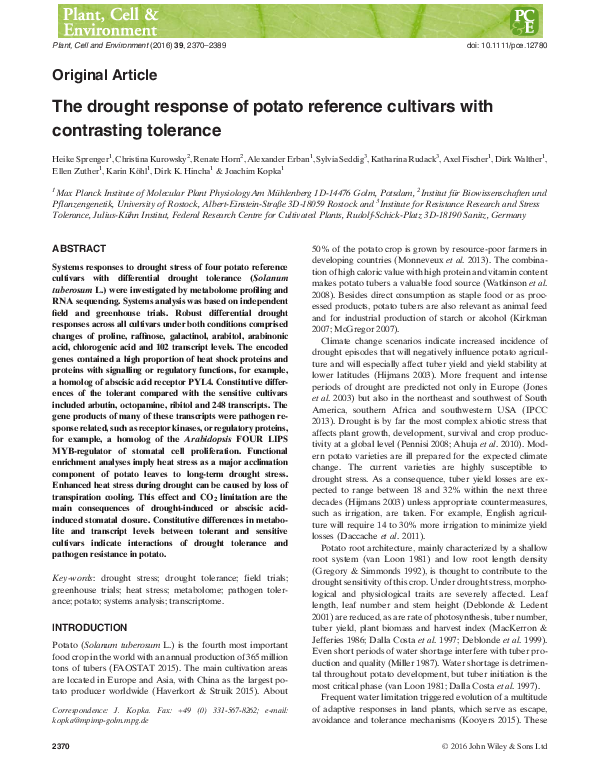(PDF) The drought response of potato reference cultivars with ...