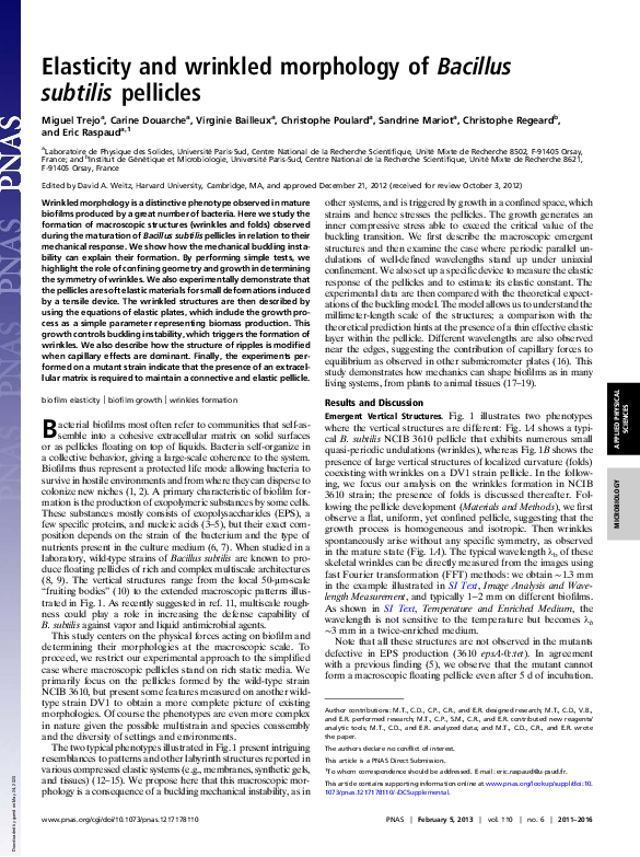 (PDF) Elasticity and wrinkled morphology of Bacillus subtilis pellicles