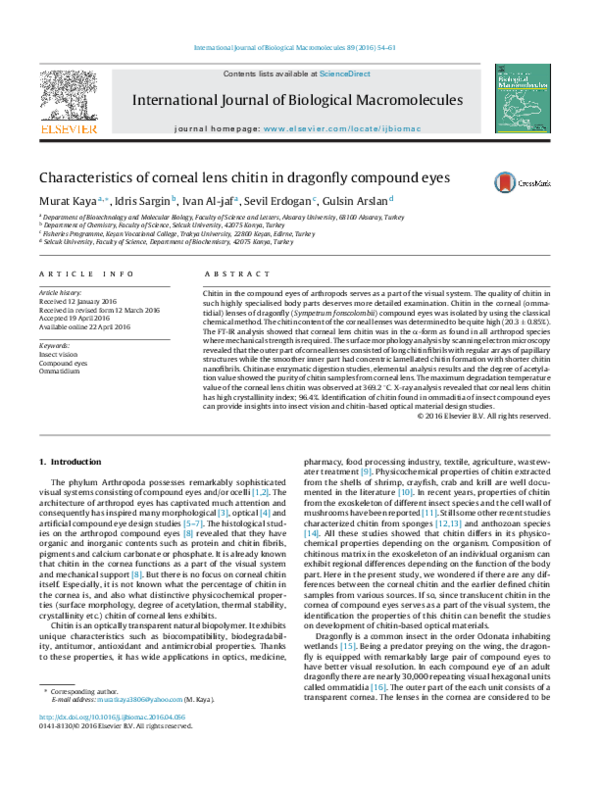(PDF) Characteristics of corneal lens chitin in dragonfly compound eyes