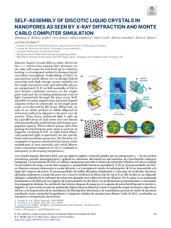(PDF) Self-assembly of Discotic Liquid Crystals in Nanopores as Seen by X-Ray Diffraction and ...