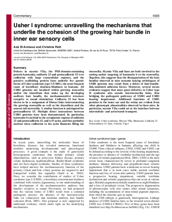 (PDF) Usher I syndrome: unravelling the mechanisms that underlie the ...